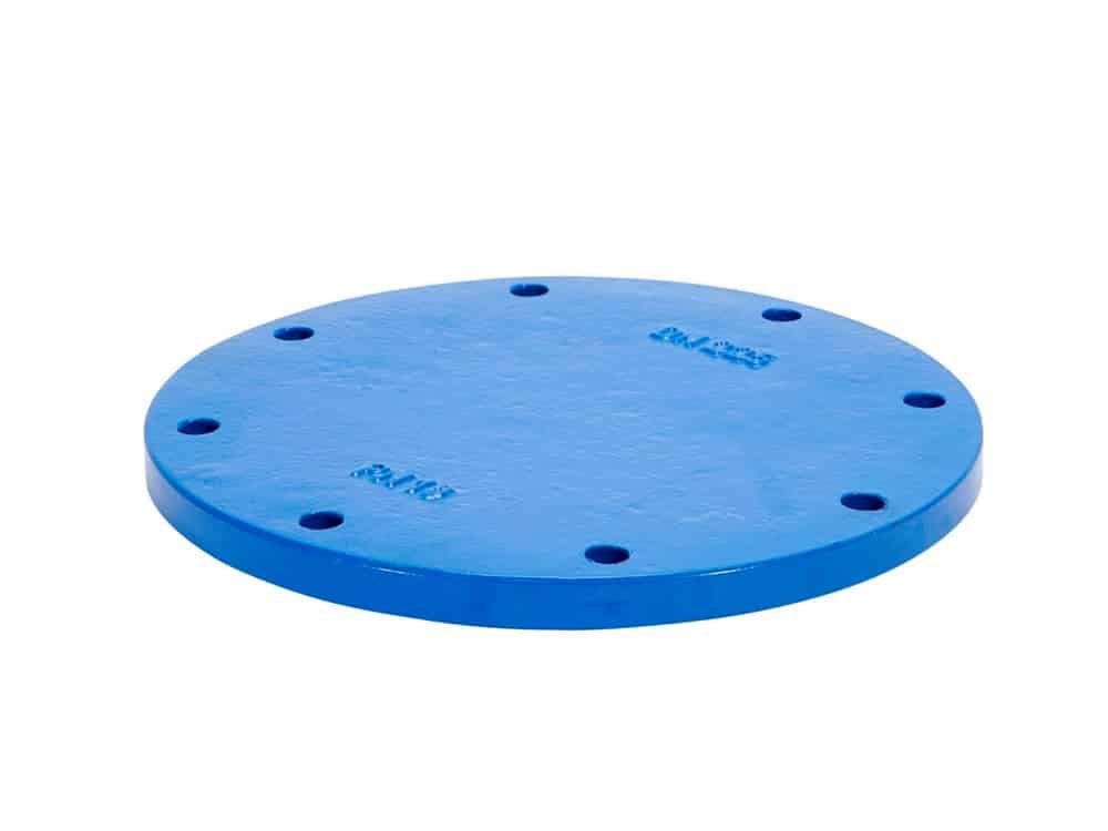 Daemco DI Blank Flange DN225 - Promains