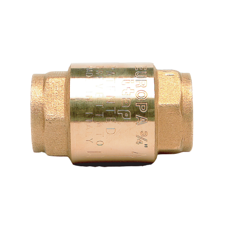 Europa Spring Check Valve 65mm - Promains